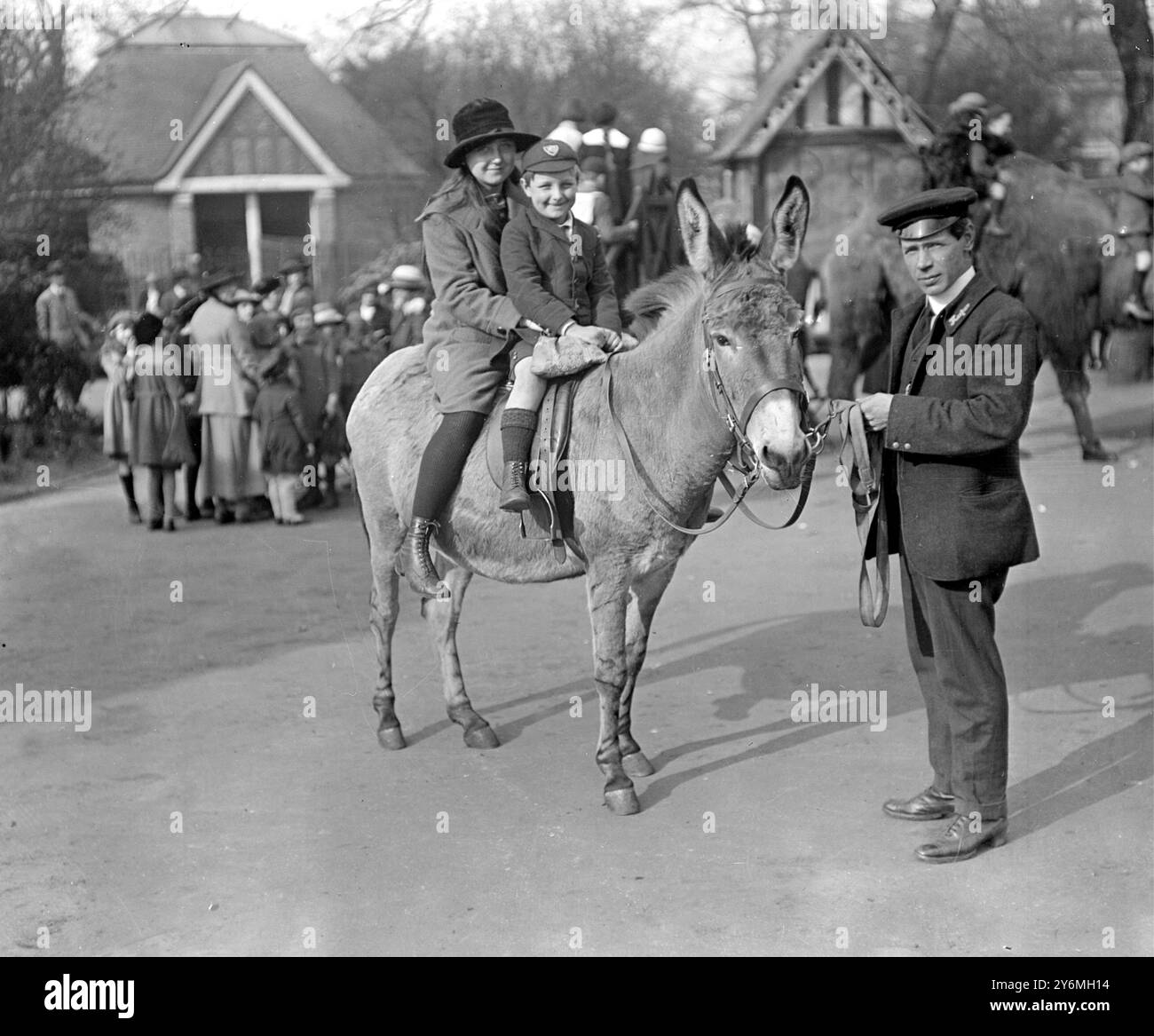 At the zoo Donkey ride Stock Photo - Alamy
