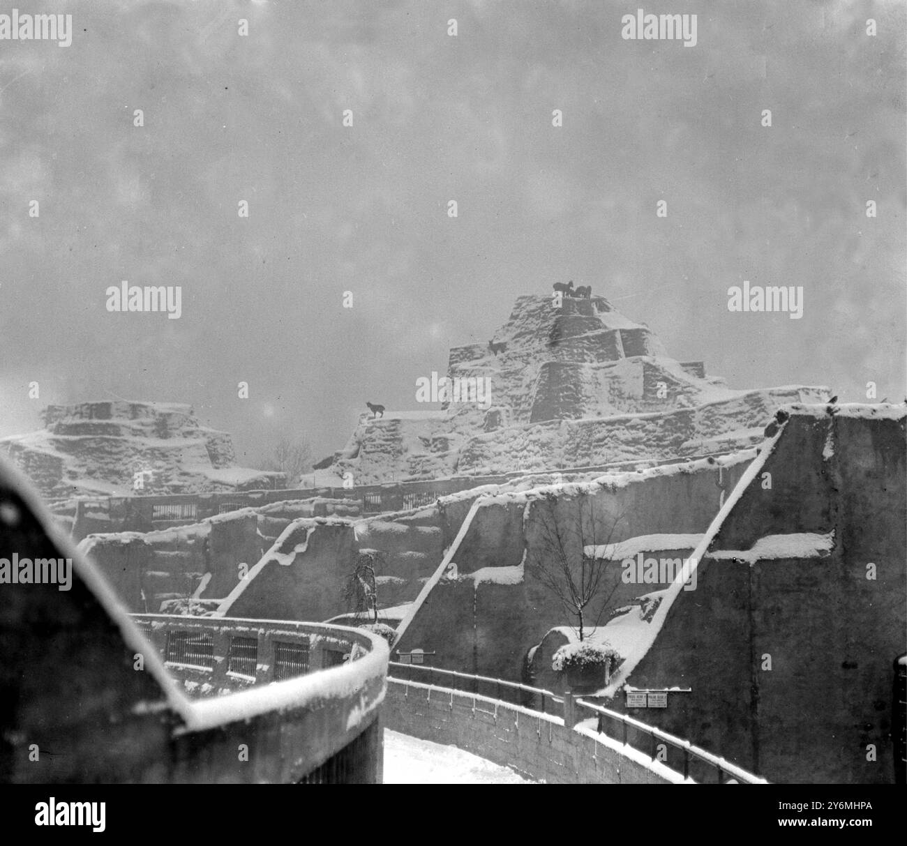 At the zoo The Mappin Terraces Stock Photo - Alamy