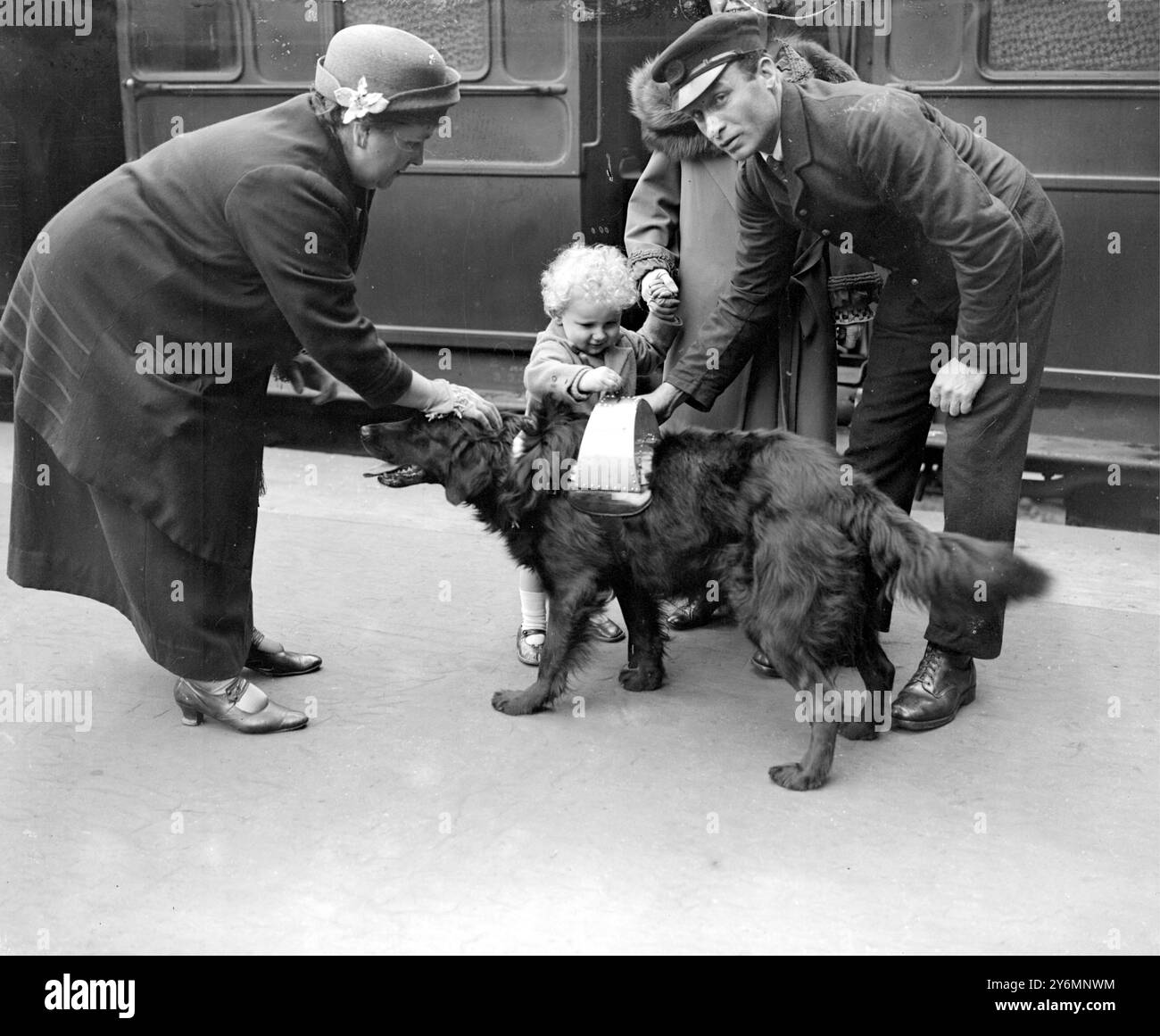 Railway charity collector dog hi-res stock photography and images - Alamy