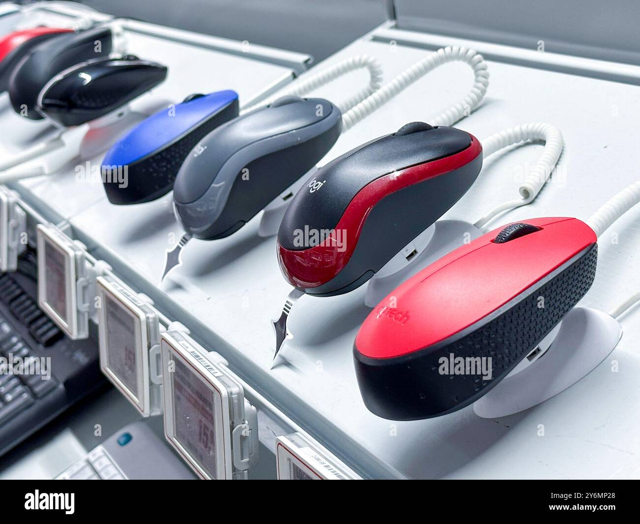 Mouse alignment in a specialized computer store Stock Photo - Alamy