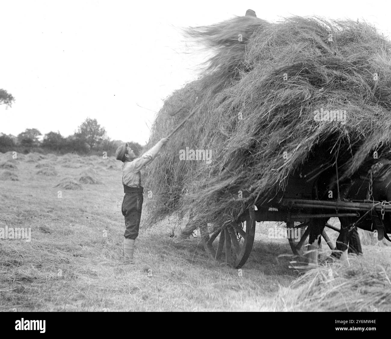 German prisoners help with the hay harvest in Hertfordshire 2 July 1918 ...