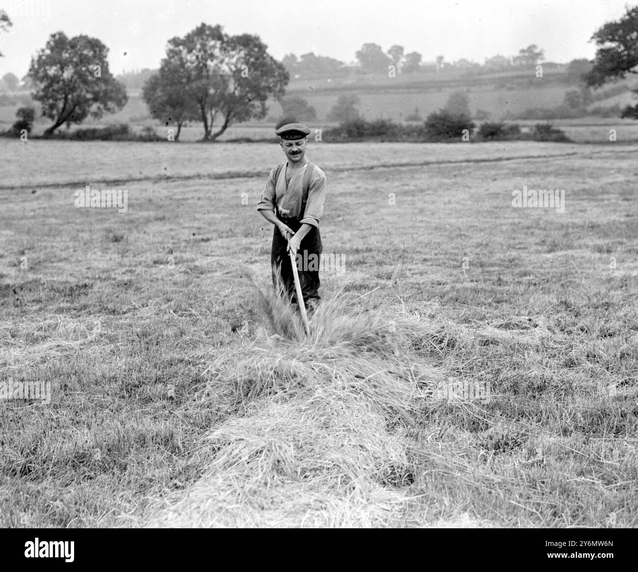 German prisoners help with the hay harvest in Hertfordshire. Naval ...
