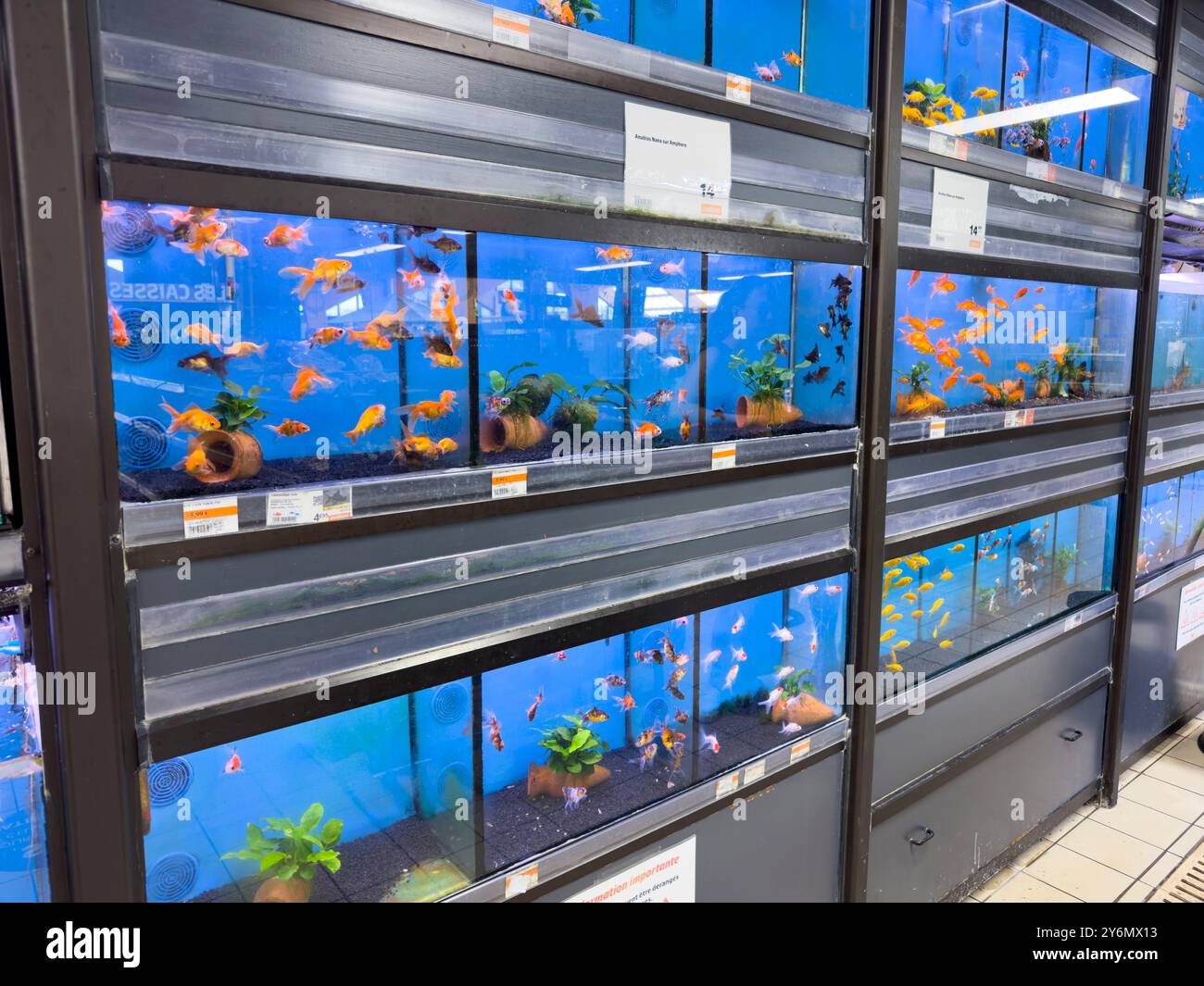 Fish shops hi-res stock photography and images - Alamy