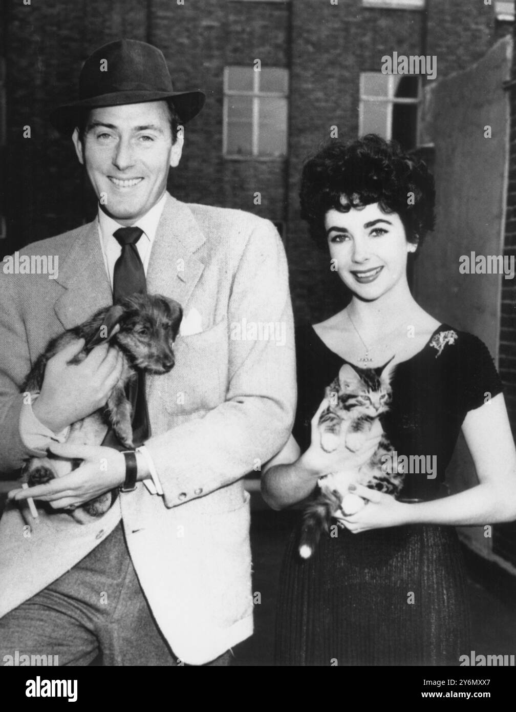 Actress Elizabeth Taylor and husband Michael Wilding with a puppy and ...