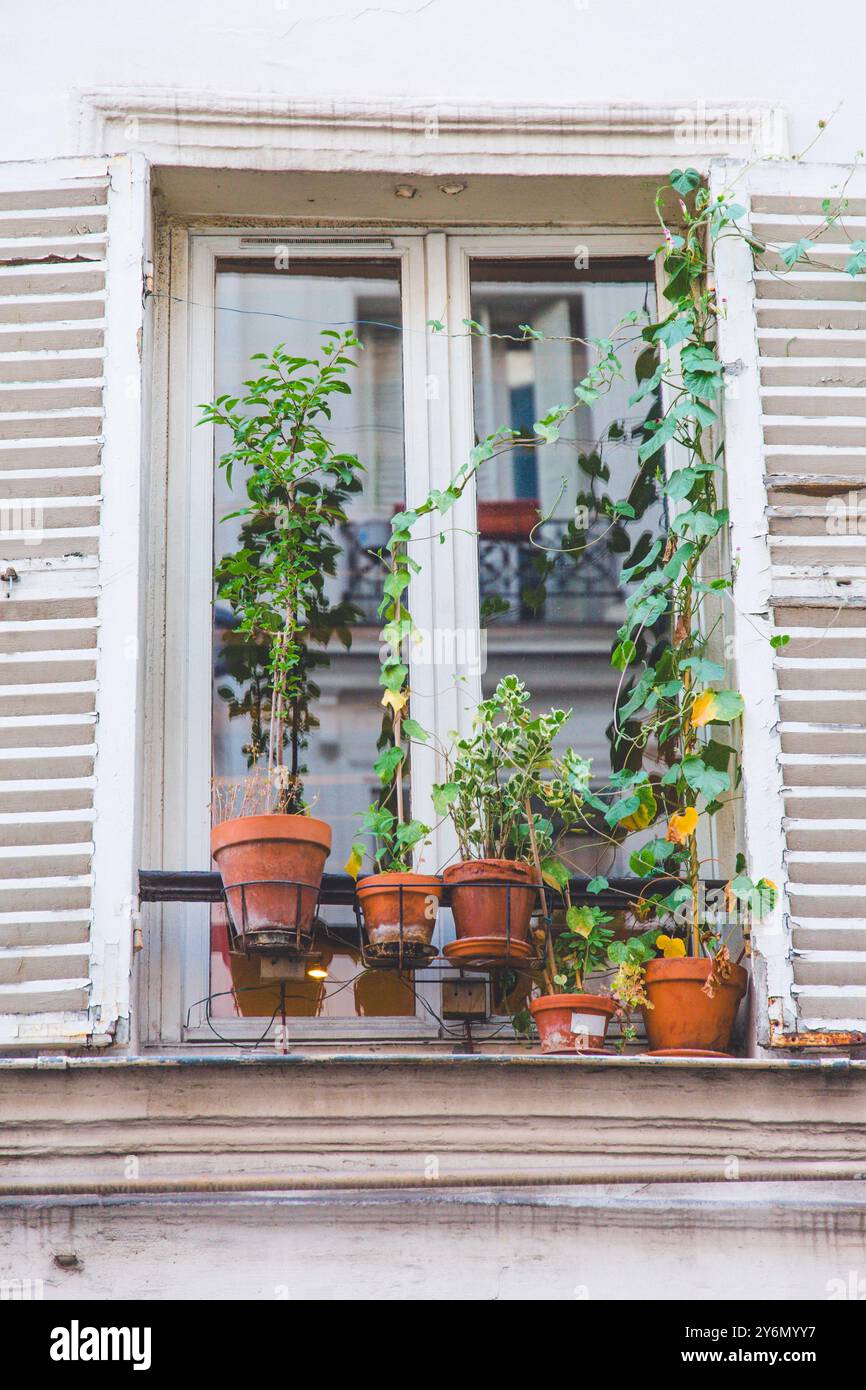 Parisian nonsense hi-res stock photography and images - Alamy