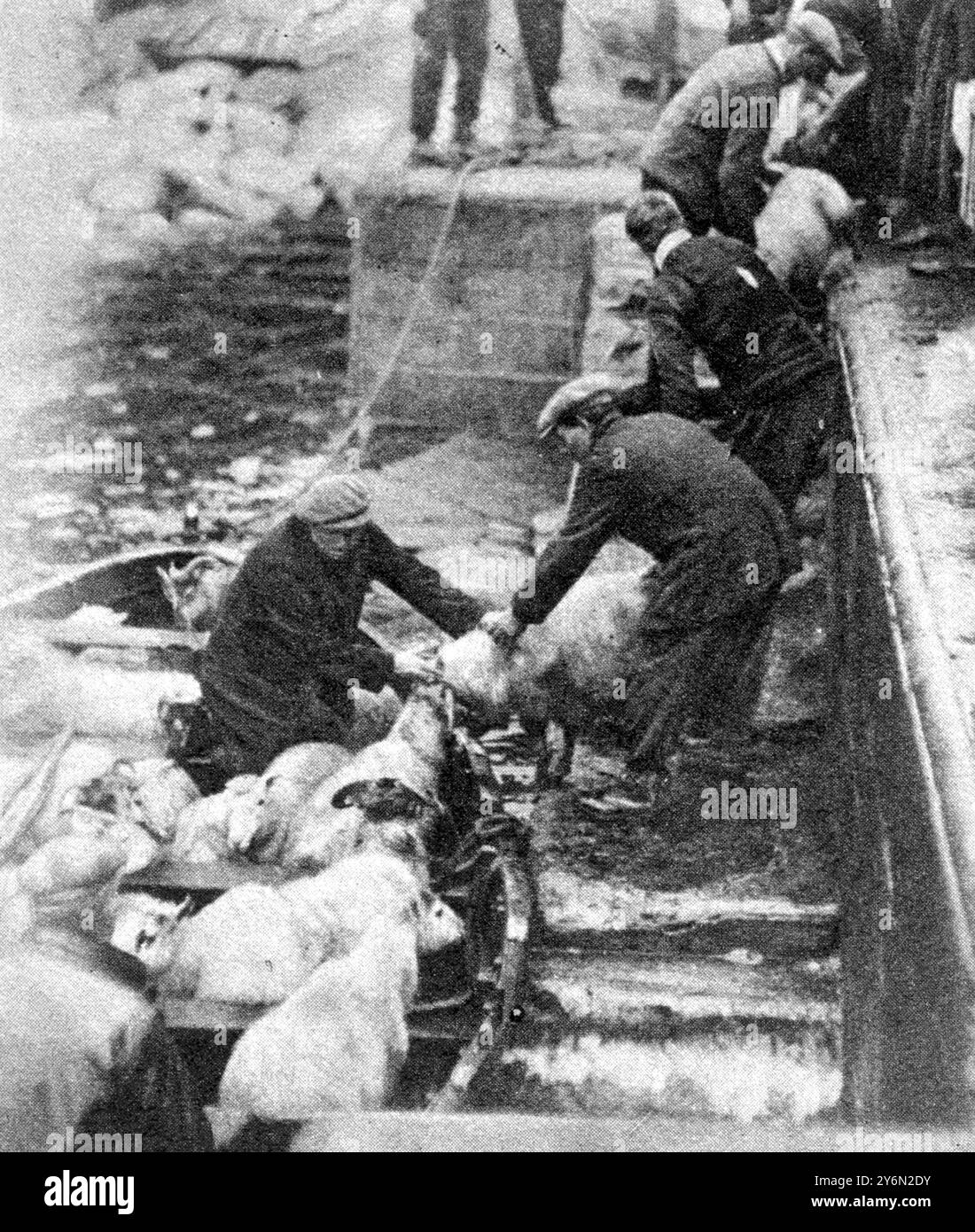 The Evacuation of St Kilda: Island types; And scenes of departure ...