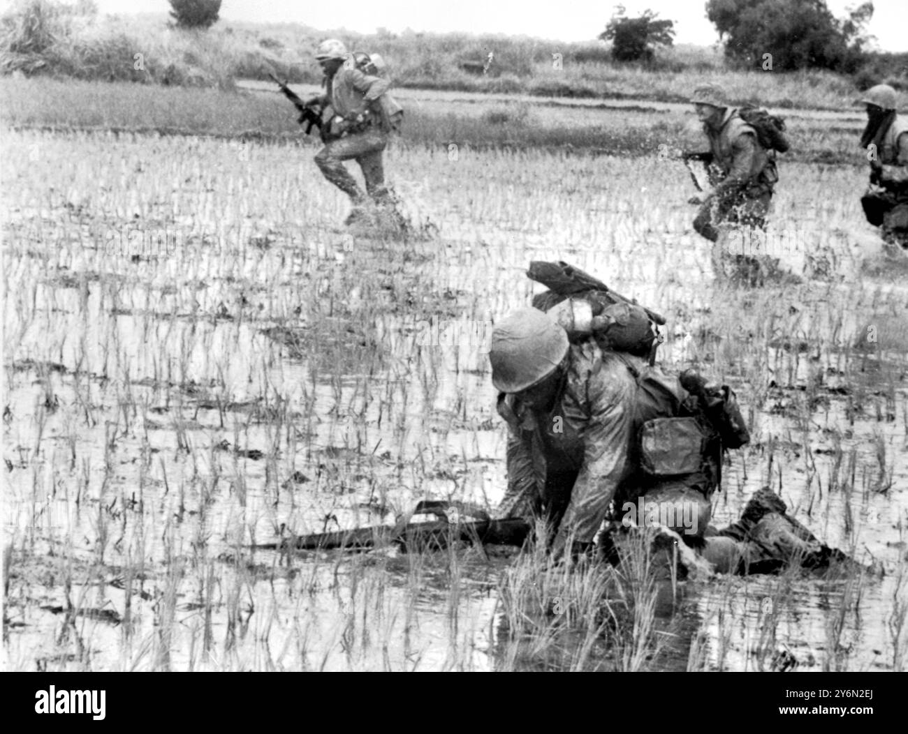 Da Nang, South Vietnam: A united States Marine picks himself up out of ...