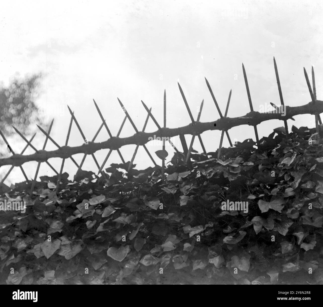 Buckingham palace security wall spikes hi-res stock photography and ...
