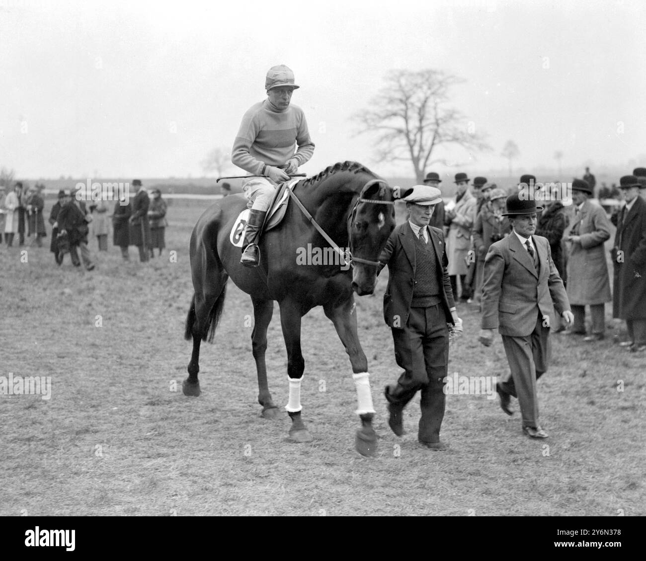 Golden miller cheltenham Black and White Stock Photos & Images - Alamy