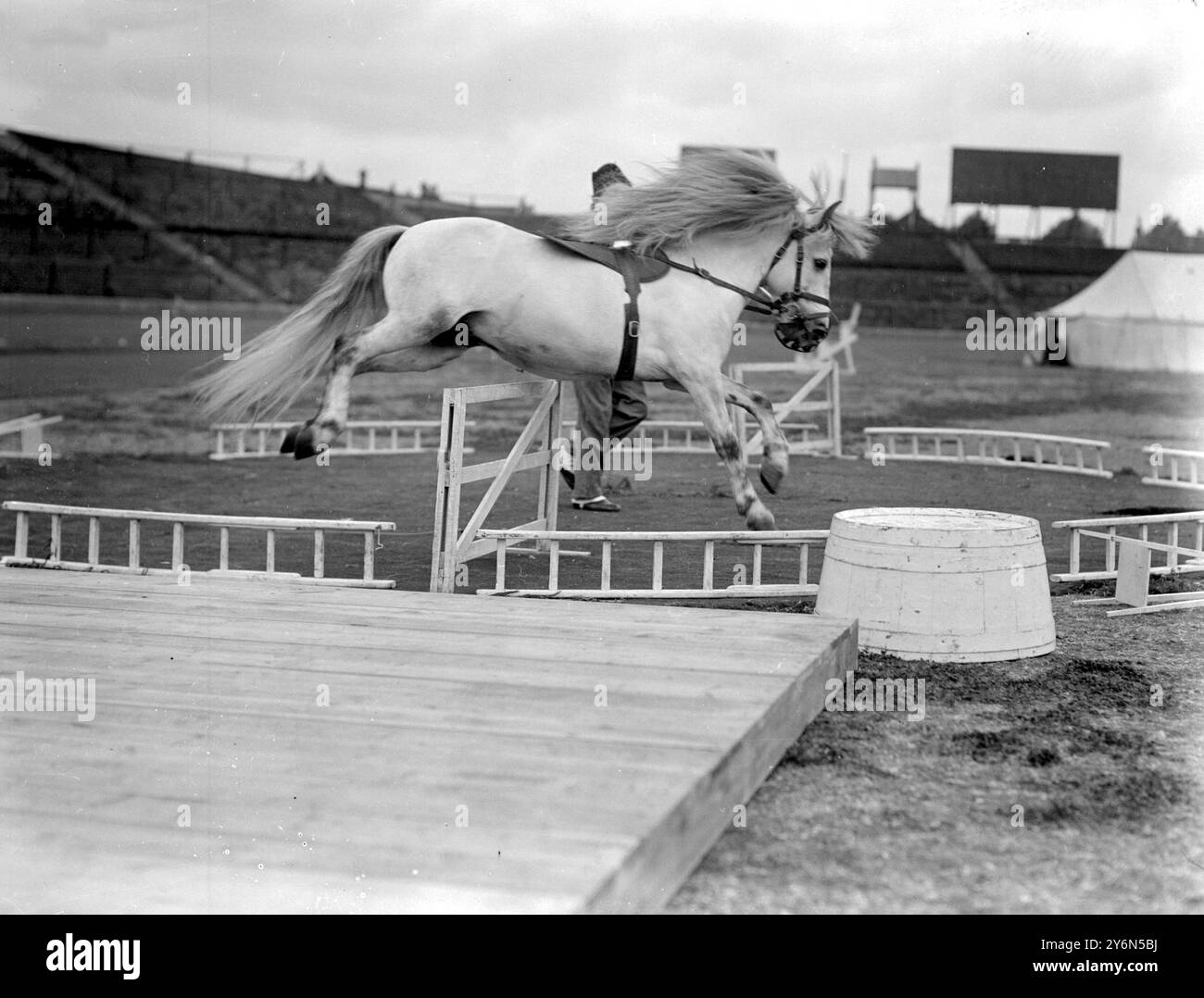 Sporting Carnival, Stanford Bridge. Horse jumping Stock Photo - Alamy