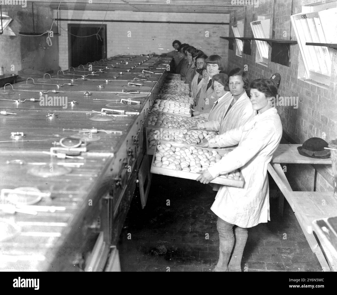 At Miss Harrison Bell's poultry farm at Codicote, near Welwyn. A ...