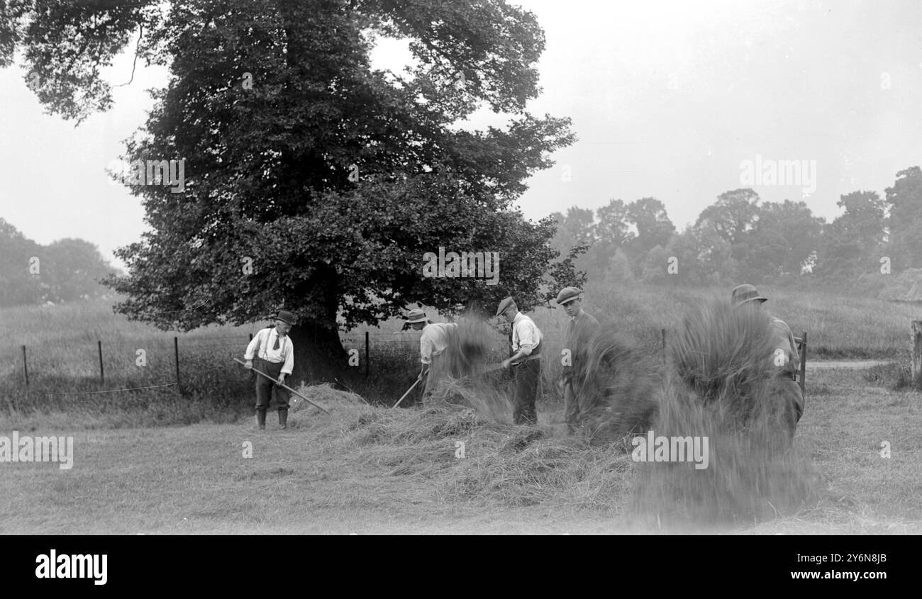 Lady Angela Forbes at her "Silver Badge" farm for disabled soldiers at ...
