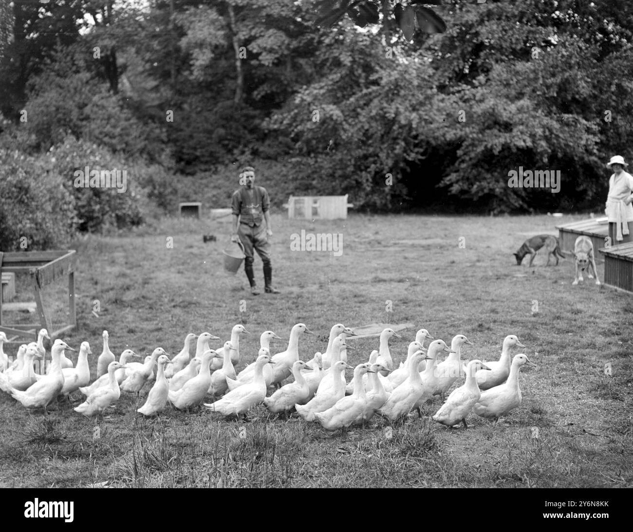 Lady Angela Forbes at her "Silver Badge" farm for disabled soldiers at ...