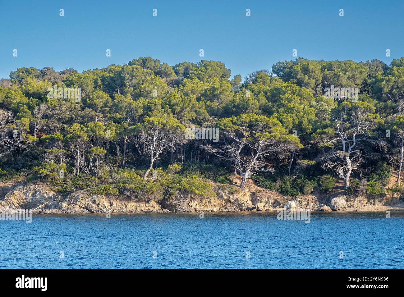 France. Var. Hyeres. East coast of the Giens peninsula Stock Photo - Alamy