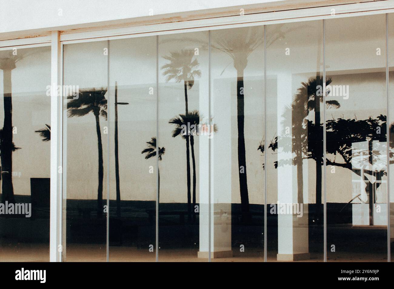 Creative wallpaper with reflection of palm trees in a panoramic window ...