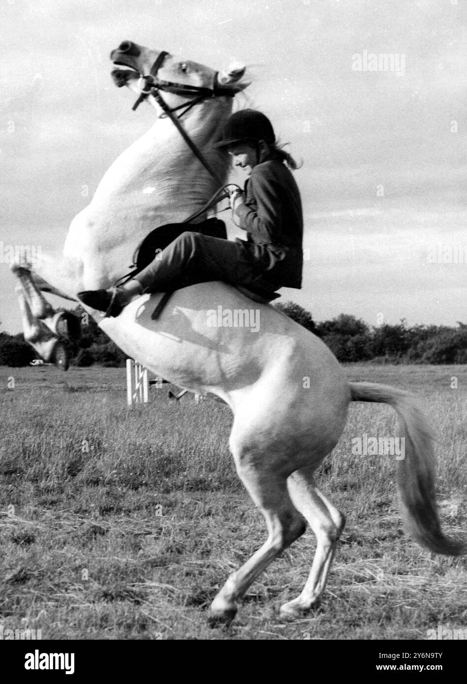 11 year old girl riding Rearing horse 1965 Stock Photo - Alamy