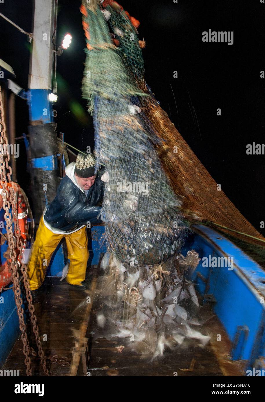 Robert Ball (59 years old) unloading fish caught in English Channel ...