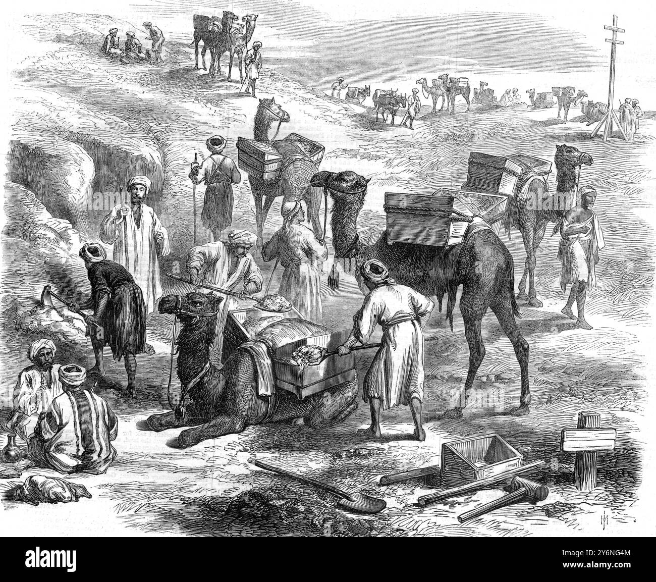 The Isthmus of Suez Martitime Canal: Workmen loading dromedaries. 13 ... The Isthmus of Suez Martitime Canal: Workmen loading dromedaries. 13 ...