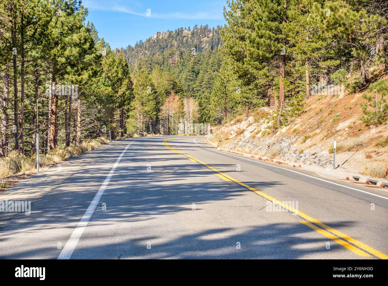 Highway running through pine hi-res stock photography and images - Alamy