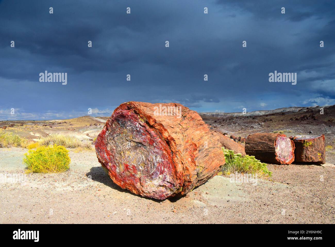 Fossilized logs at the Crystal Forest in Petrified Forest National Park ...
