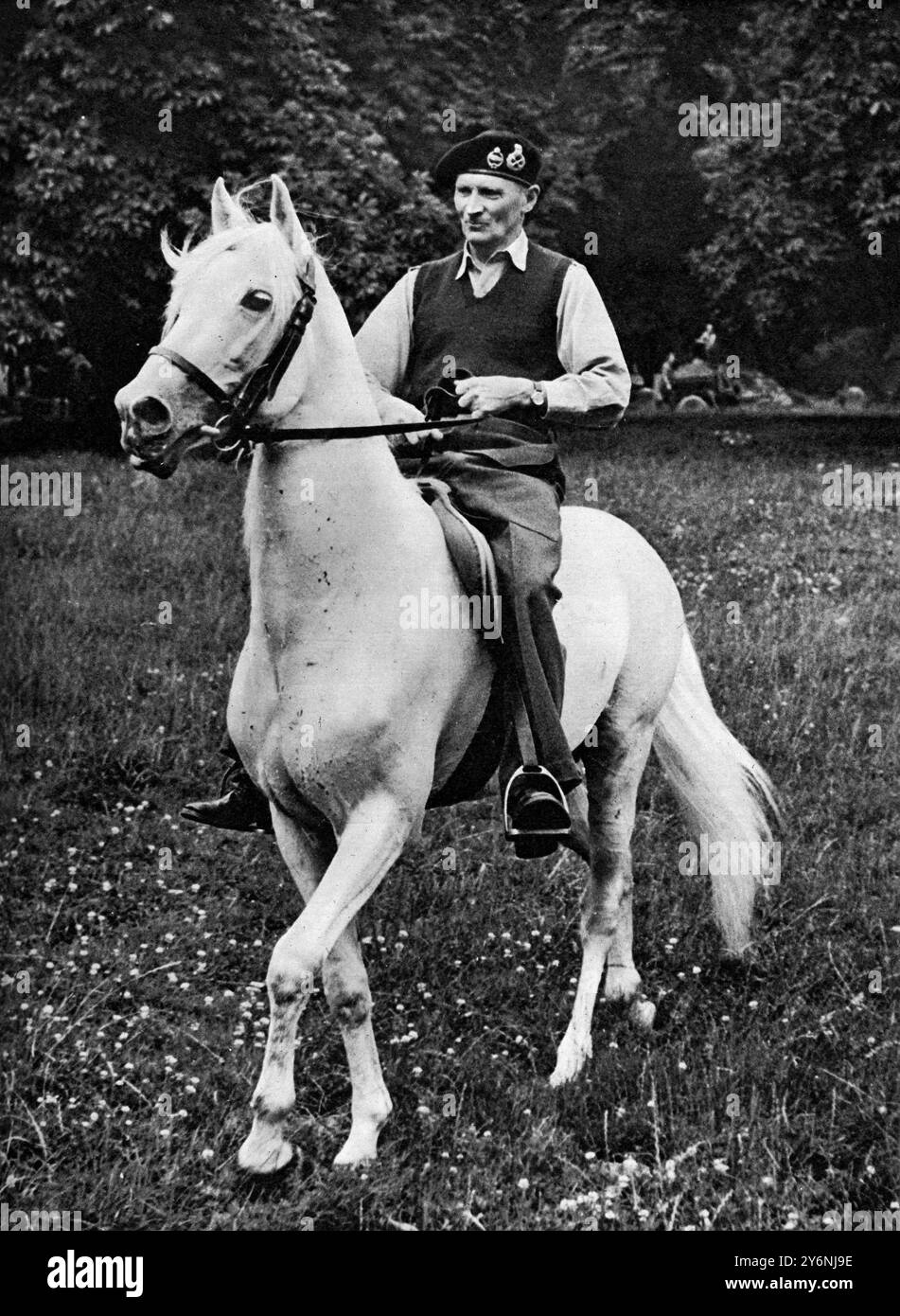 The horse that was to have carried Rommel into Cairo finds an ...