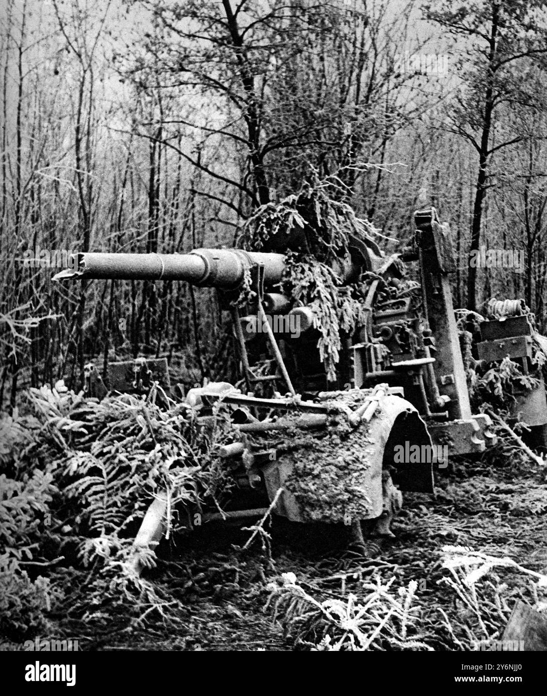 A frost bound enemy gun, abandoned in a wood as the GErmans pulled back ...