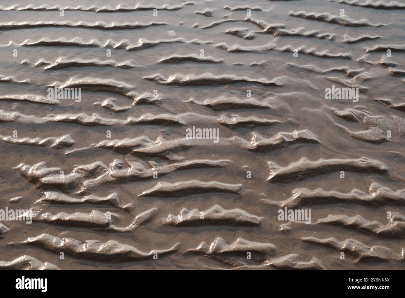 Mudflat textures hi-res stock photography and images - Alamy