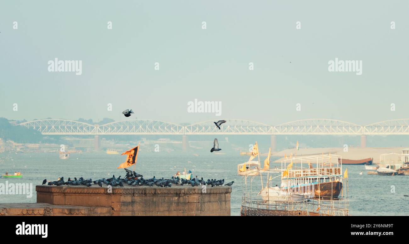 Varanasi, India. Bird Take Off from Sacred Ghat In Varanasi. Pigeons ...