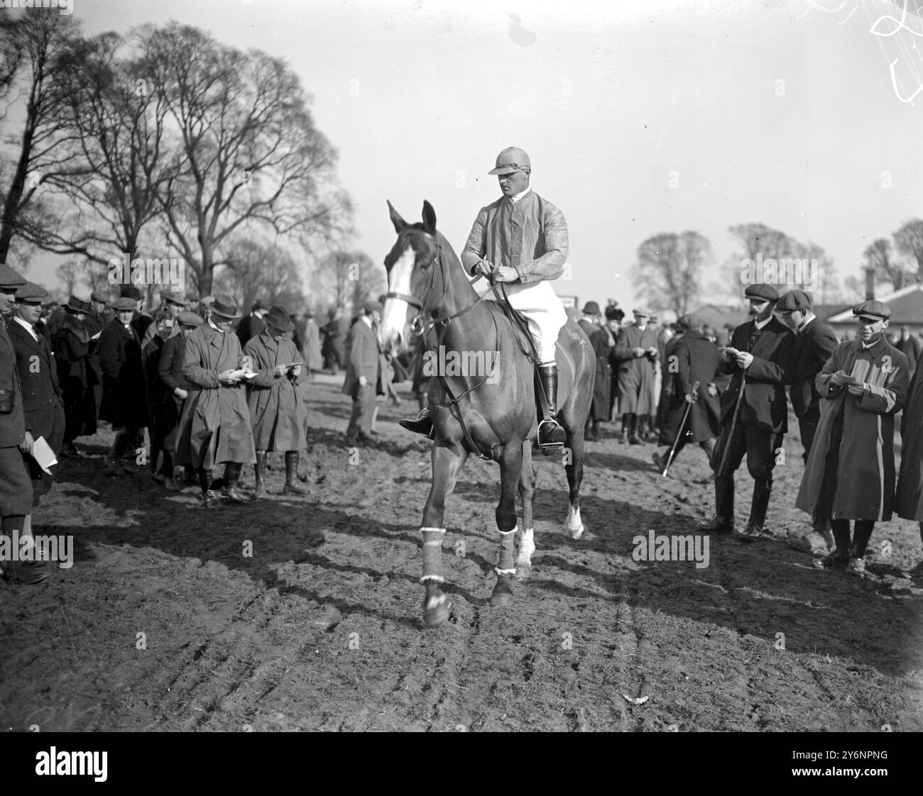 Seabreeze point hi-res stock photography and images - Alamy