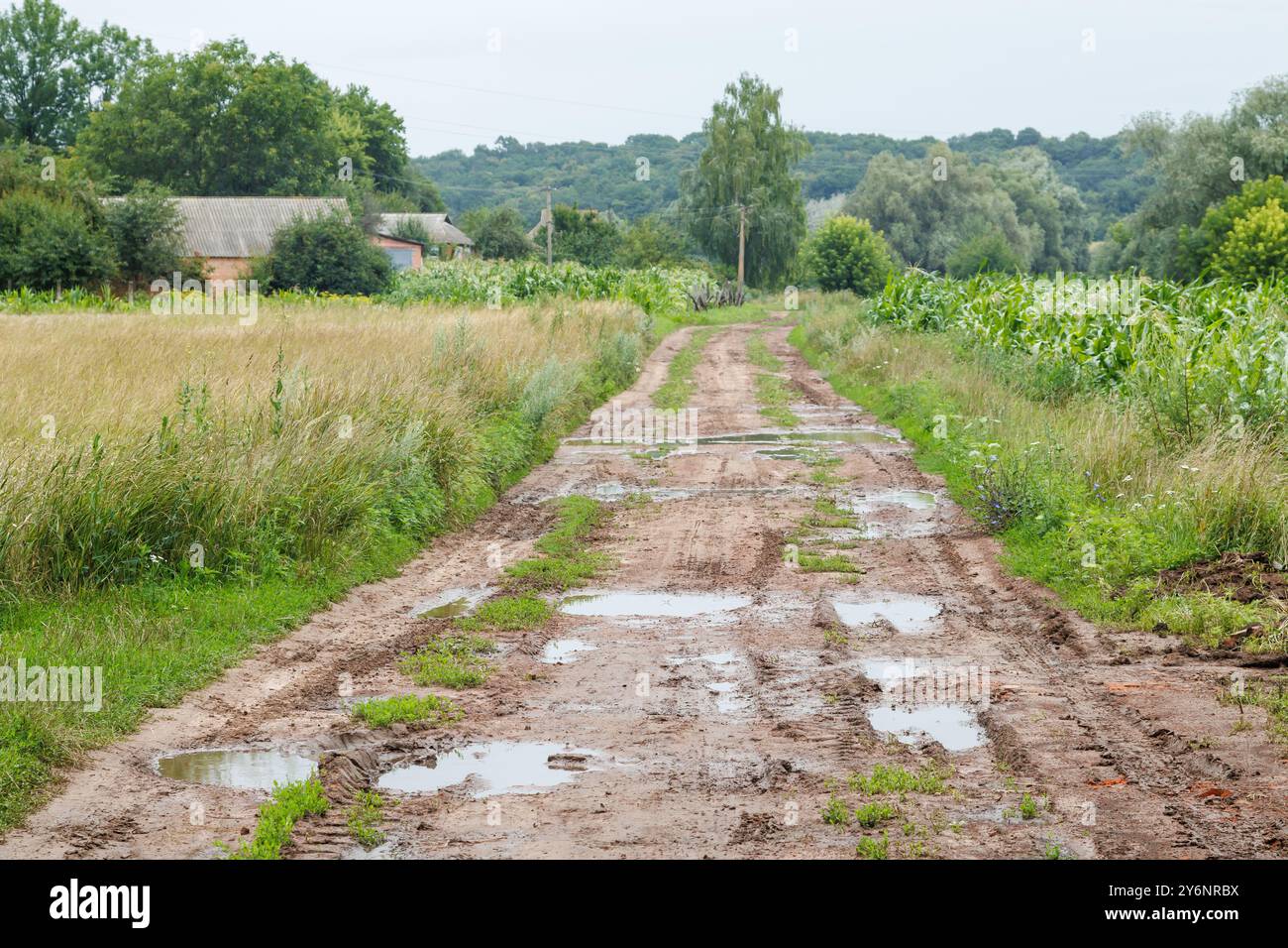 Rural muddy dirt road hi-res stock photography and images - Alamy