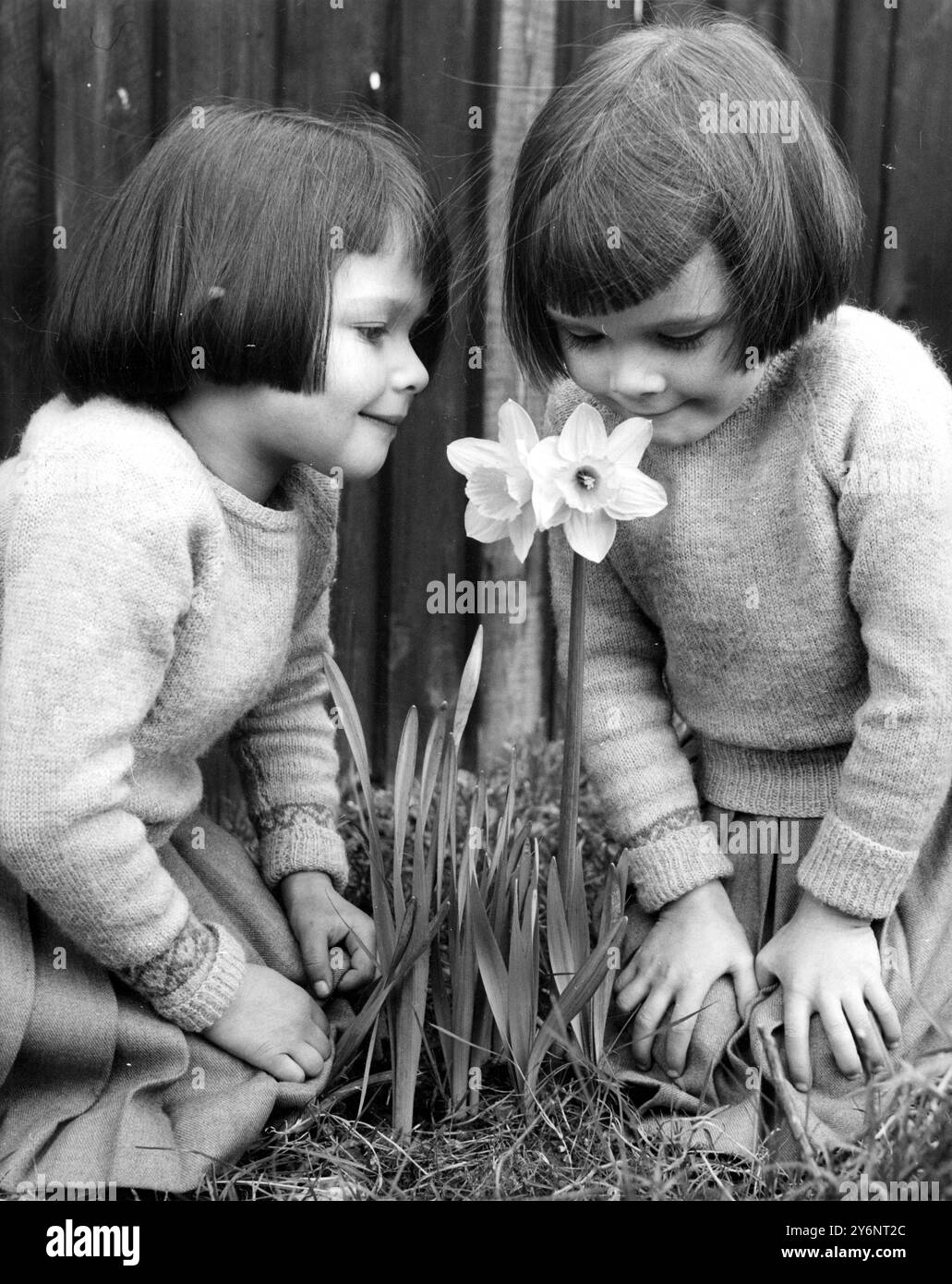 Two little girls smelling a daffodil Lynne and Lesley Jones from ...