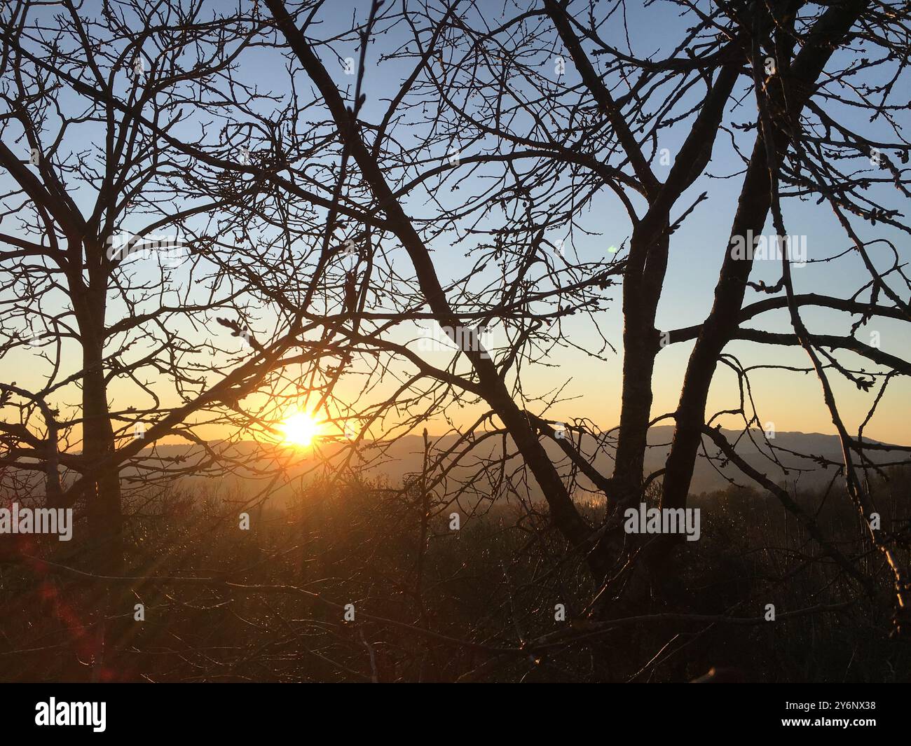 Rays sun among trees hi-res stock photography and images - Alamy