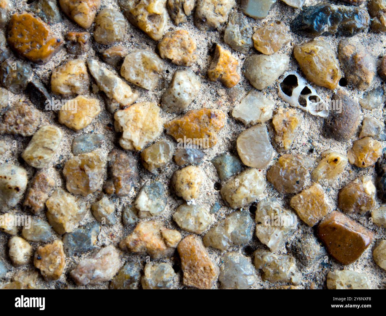Seashell finish hi-res stock photography and images - Alamy