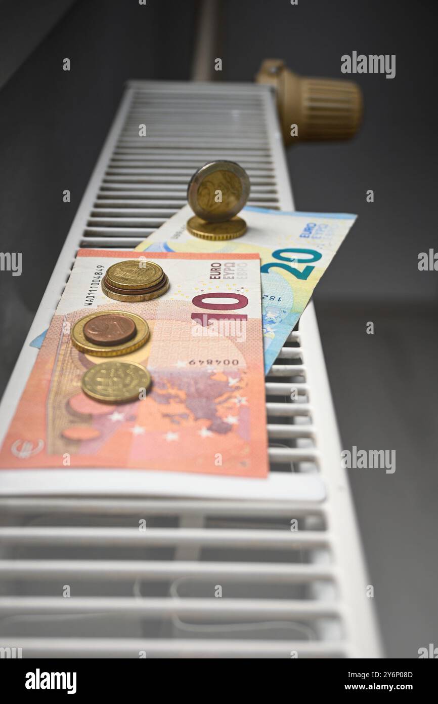 Euro banknotes and coins are sitting on a radiator, illustrating the ...