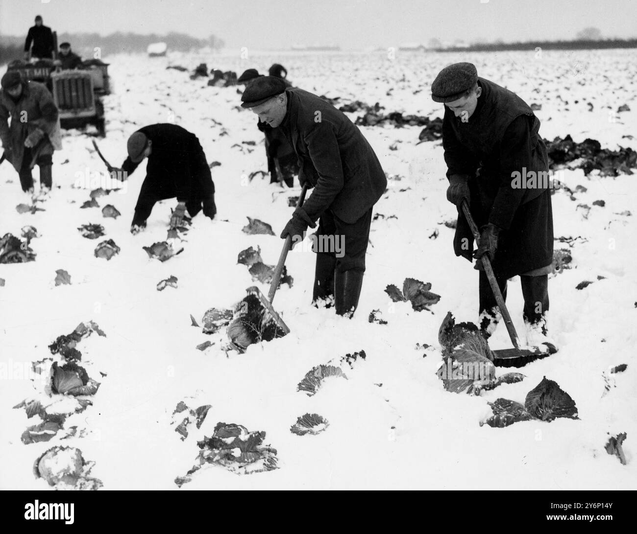 Knock off Black and White Stock Photos & Images - Alamy