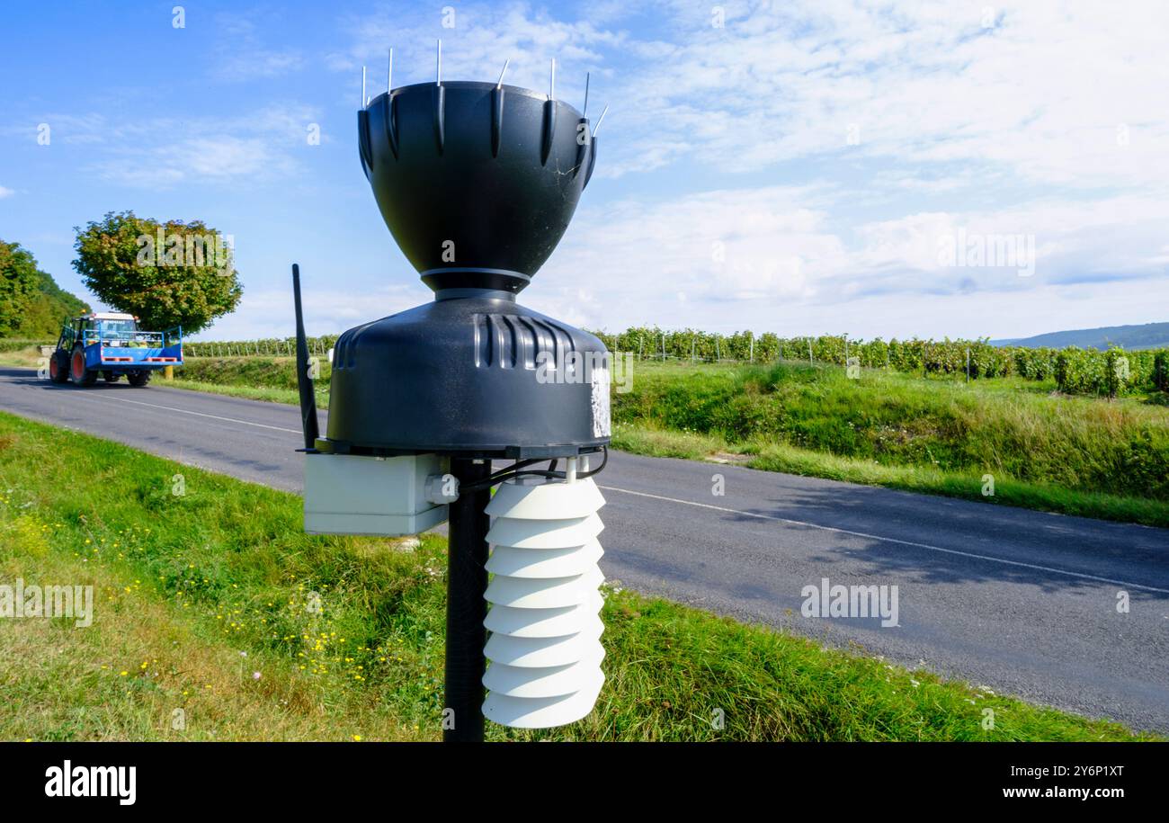 Raincrop connected rain gauge in Champagne vineyards. Agricultural ...