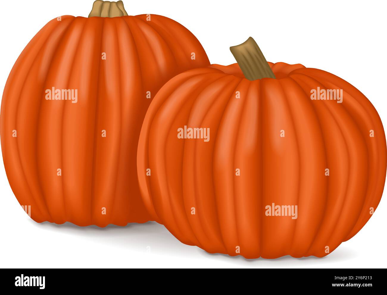 Group of Big Max pumpkin. Winter squash. Cucurbita maxima. Fruits and ...