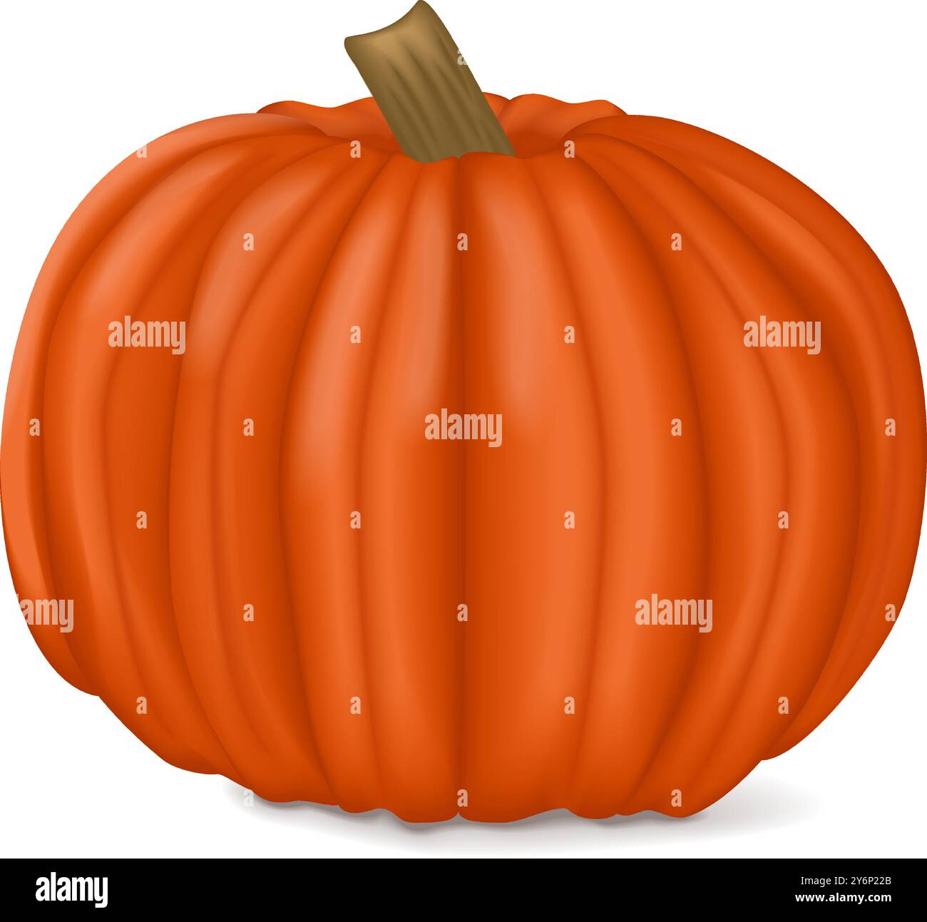 Big Max pumpkin. Winter squash. Cucurbita maxima. Fruits and vegetables ...
