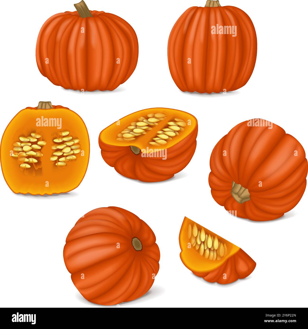Clip art. Big Max pumpkin. Winter squash. Cucurbita maxima. Fruits and ...