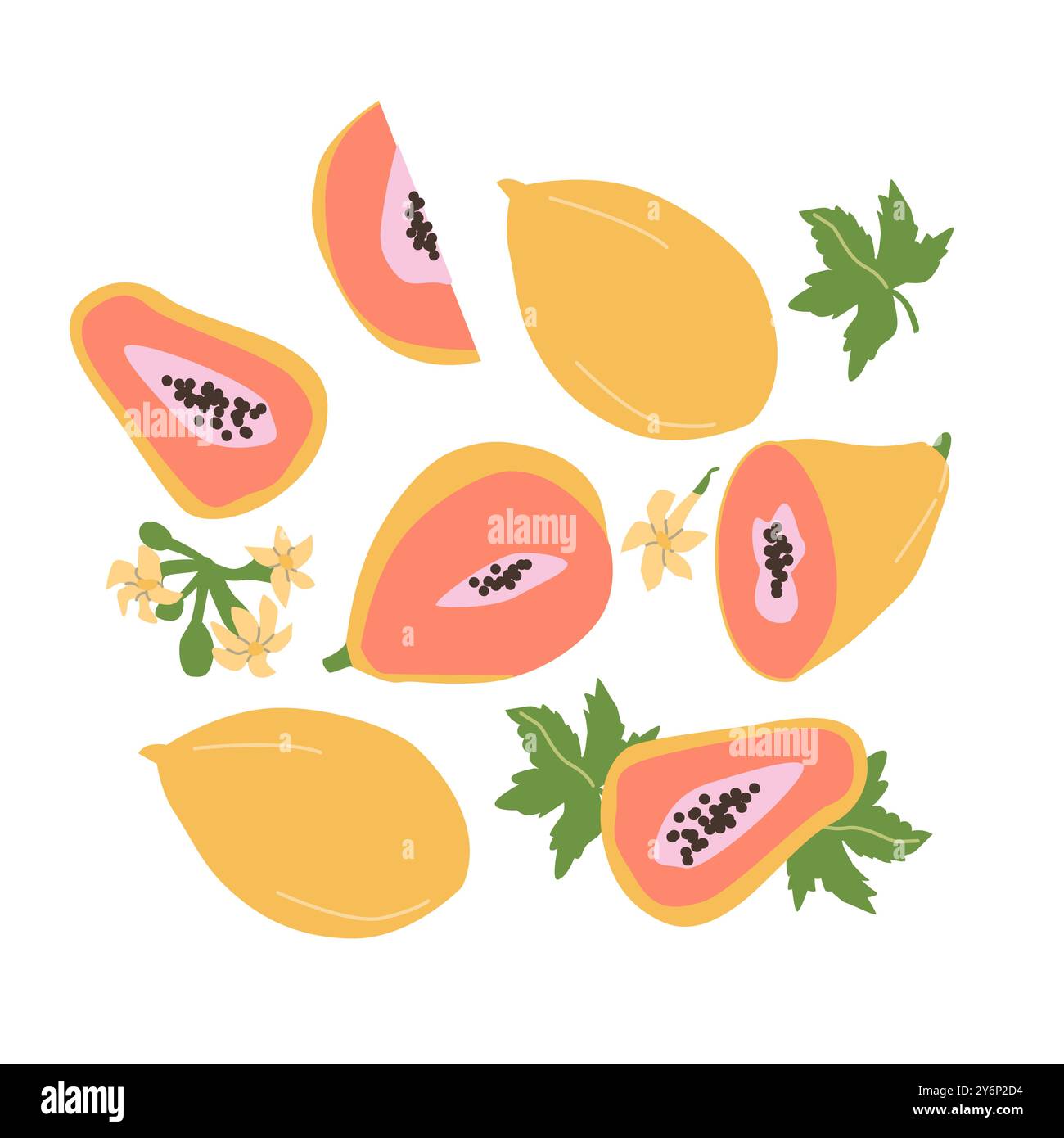 Hand drawn abstract fruit papaya plant set. Whole fruit, slices, pieces ...
