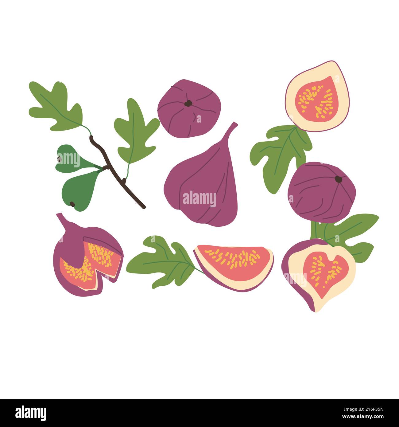 Abstract fig set. Modern vector illustration of fig branch, leaves and ...