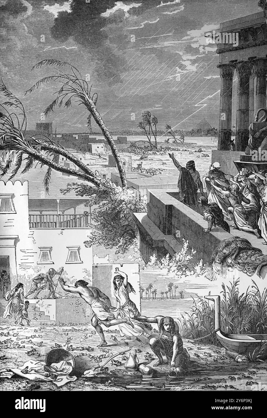 The Plagues of Hail and Frogs in Egypt from the Antique 19th Century ...