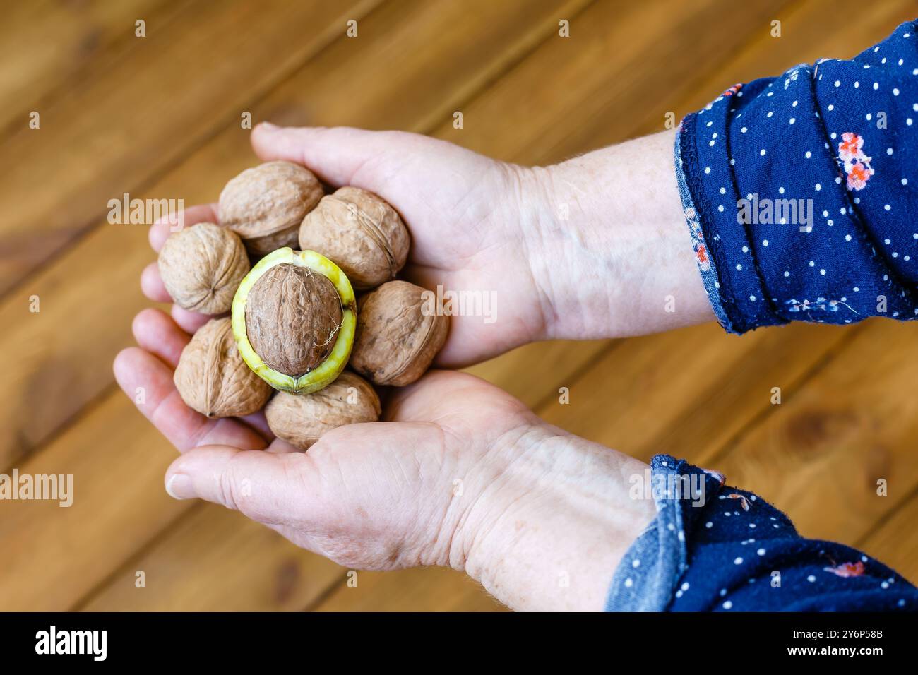 Hands of an old woman holding a bunch of walnuts. Walnuts in human ...