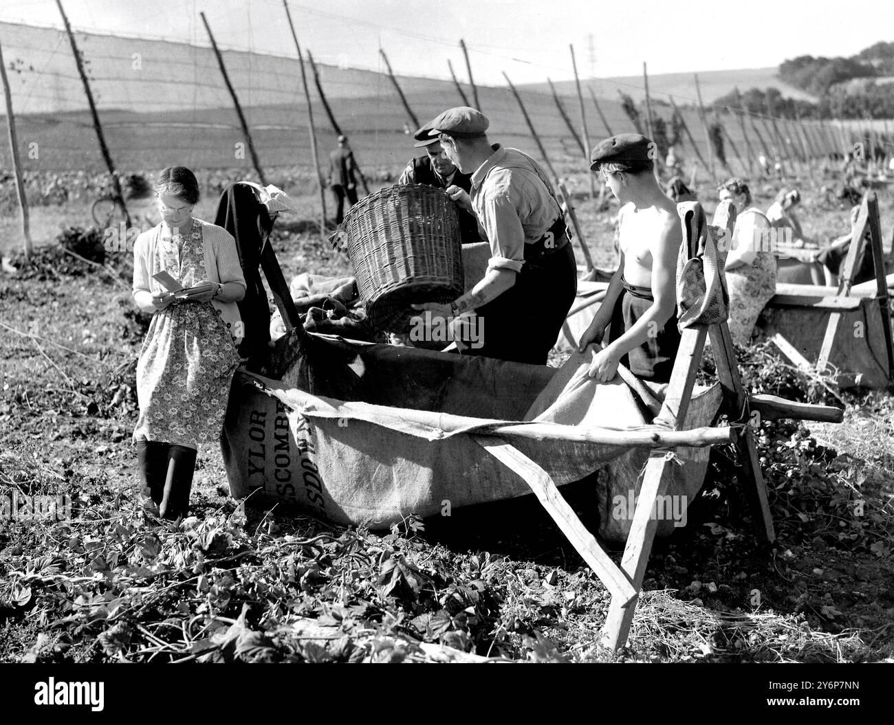 Tallyman hi-res stock photography and images - Alamy