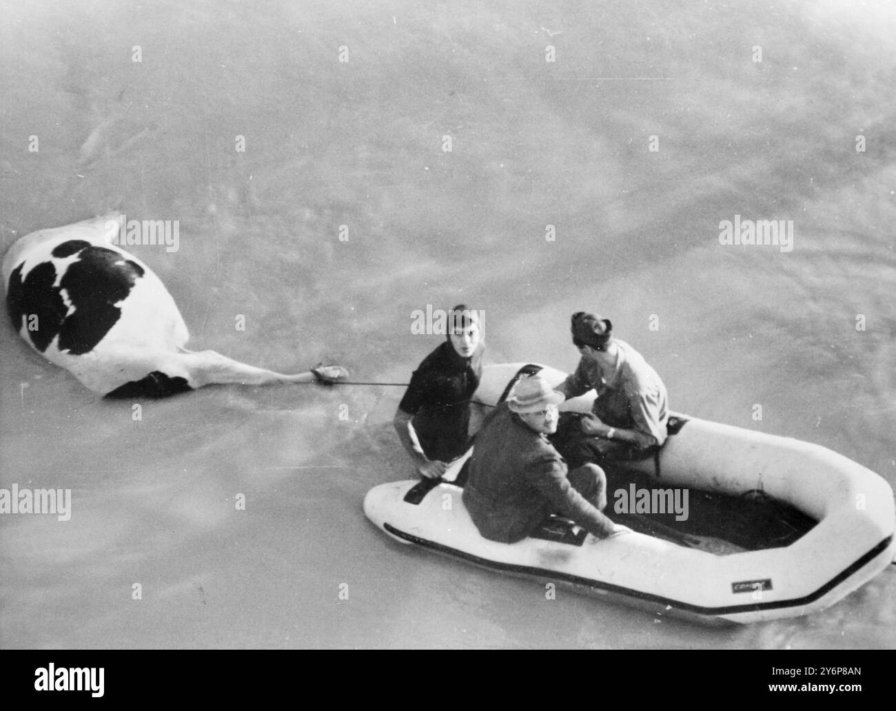 Italian flood aftermath: Santa Croce, near Florence, Italy. Two firemen ...