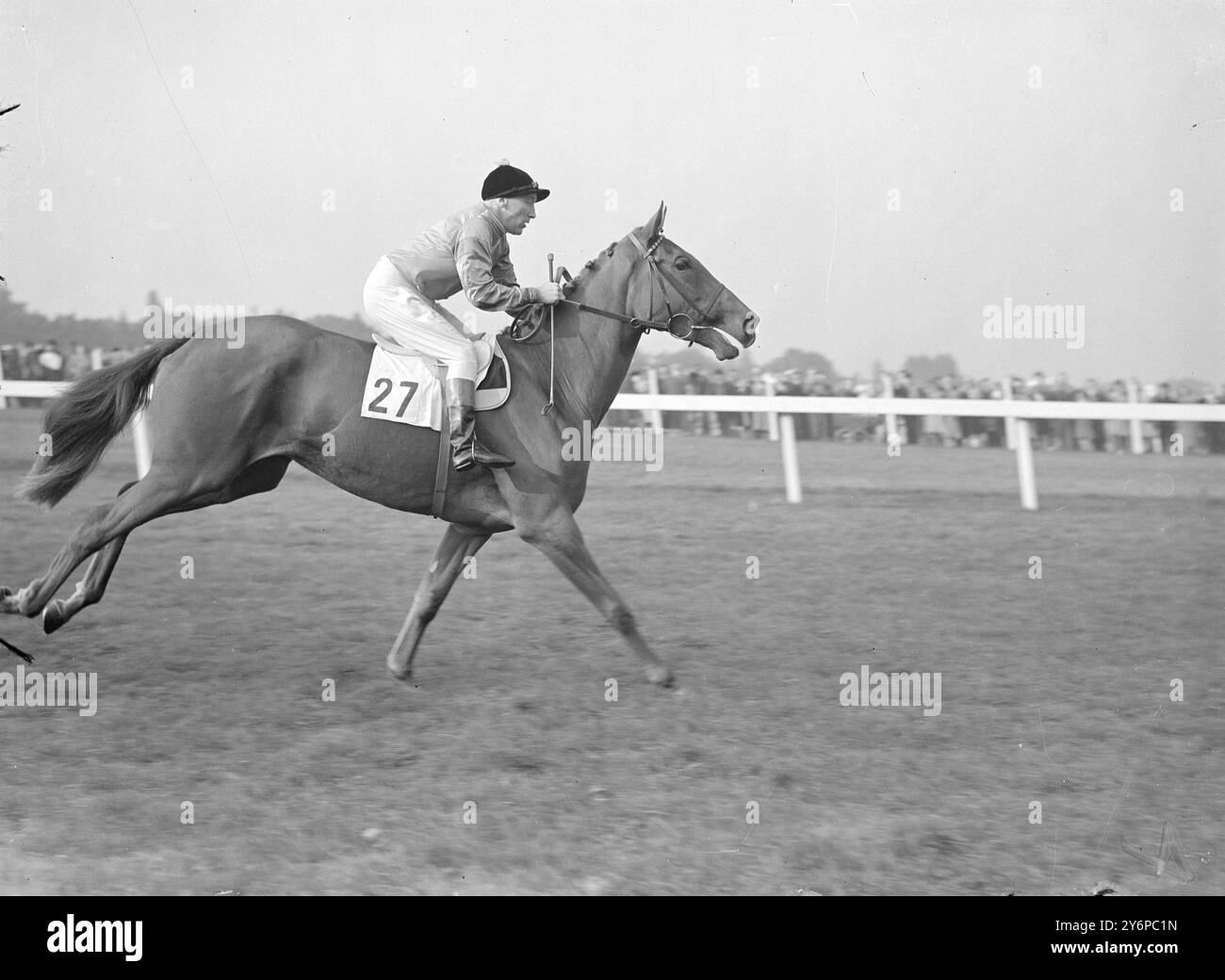 PRINCESS ELIZABETH'S RACEHORSE - ASCOT RUNNING CONFOUNDS EXPERTS ...