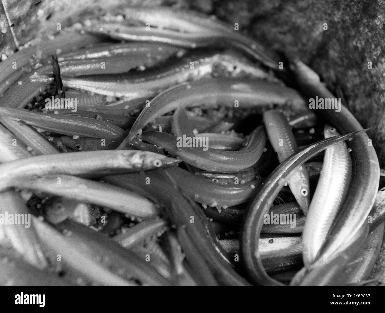 England beach 1950s Black and White Stock Photos & Images - Alamy