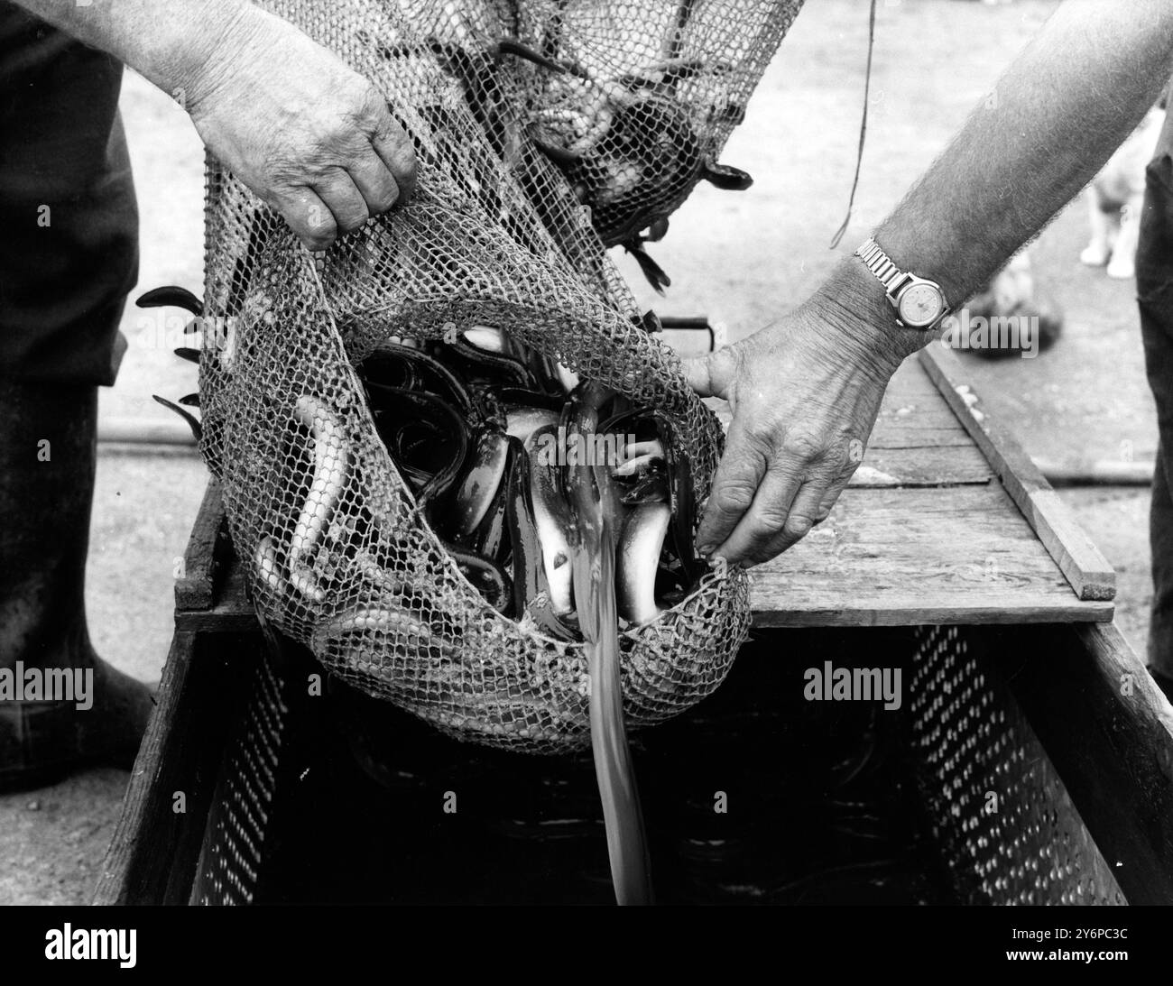 Which then stored Black and White Stock Photos & Images - Alamy