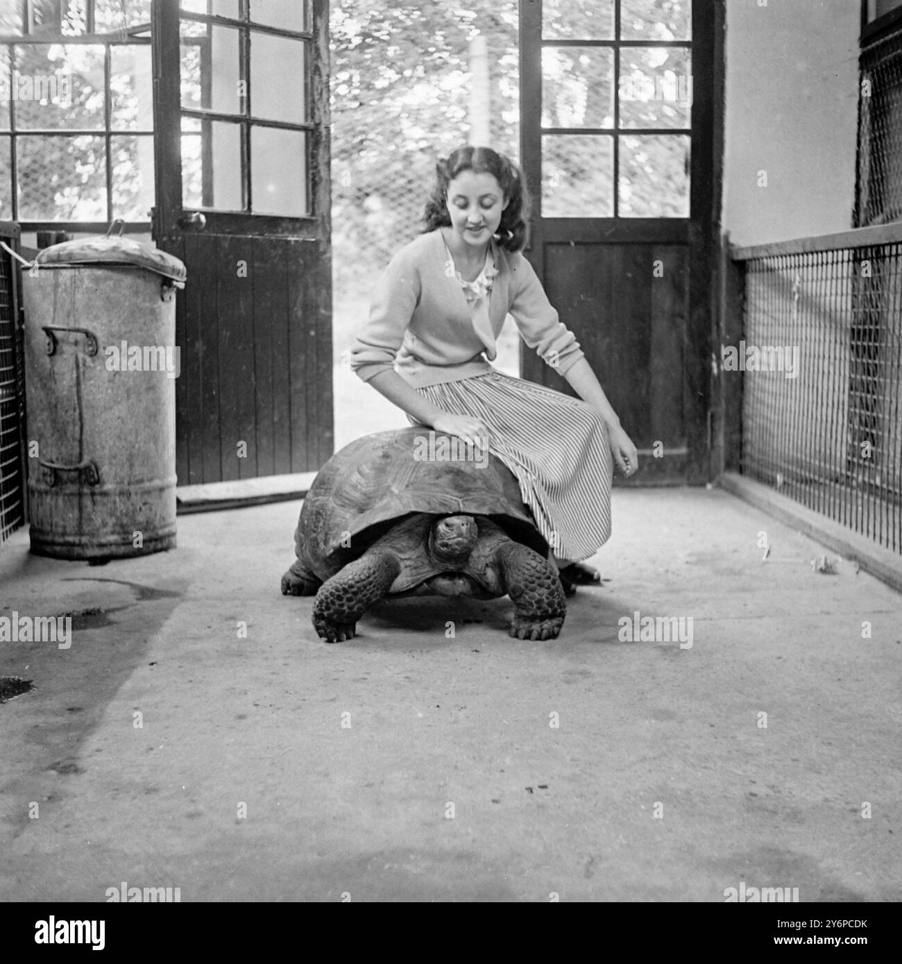 ATTENTION GETS OSCAR'S ' BACK ' Its a real feat for a pretty girl to ...