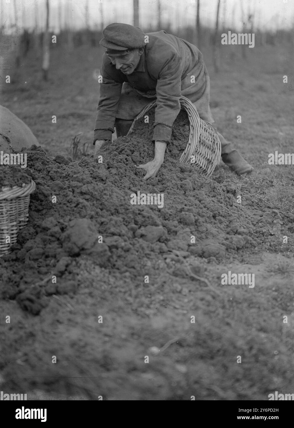 Shoddy wool hi-res stock photography and images - Alamy